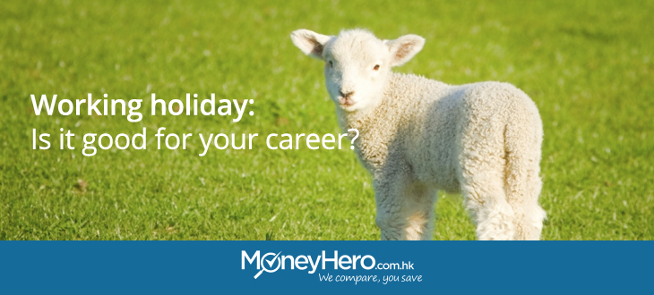 Overseas Working Holiday: Is it Good for Your Career?